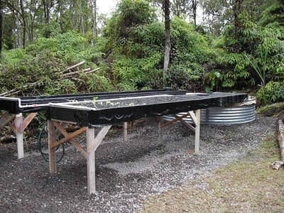 How To Build An Aquaponics System